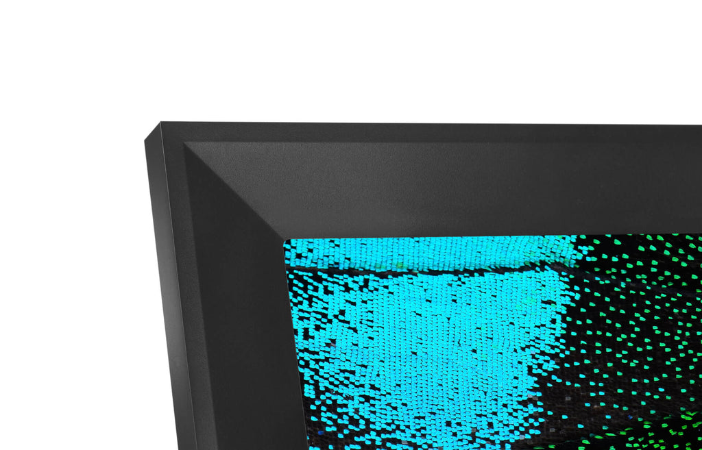 Digital Picture Frames | Skylight Frame