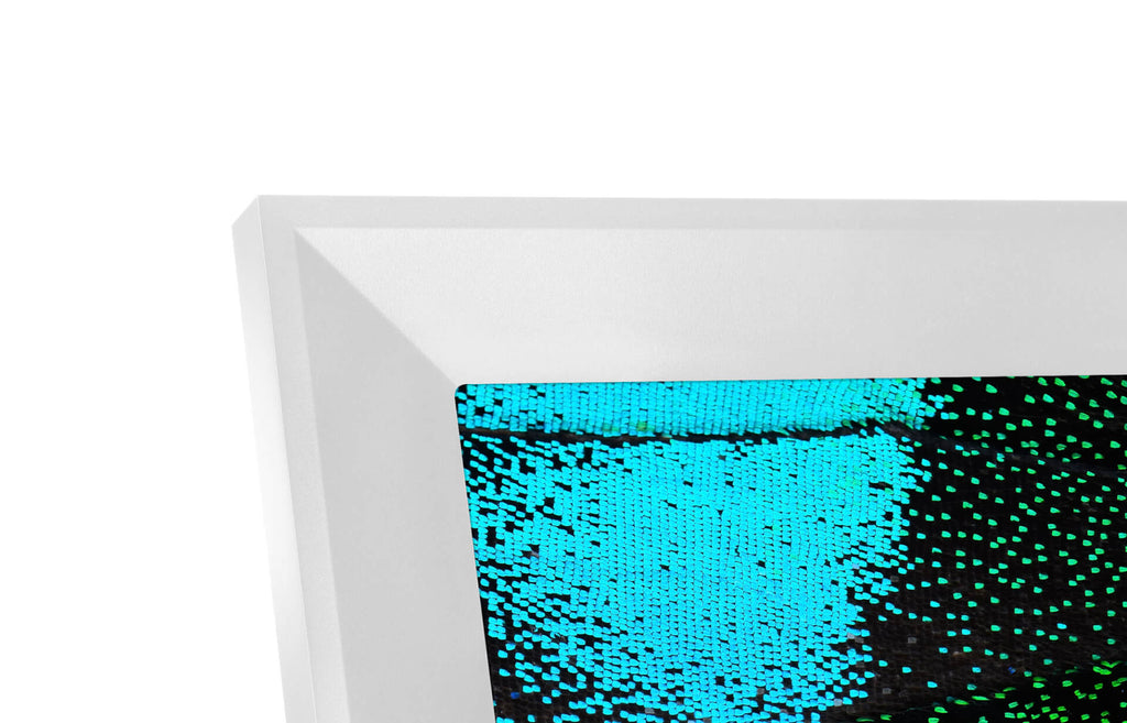 Digital Picture Frames | Skylight Frame